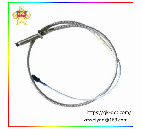 33103-00-04-10-02-00 Reverse mounted probe With fault detection