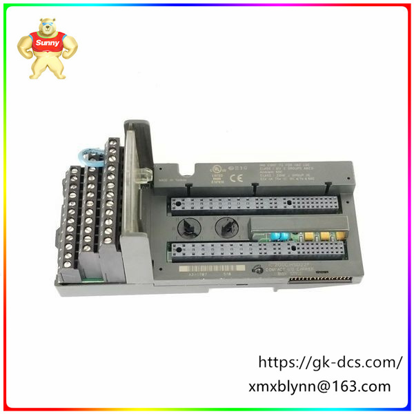 IC200CHS002 | I/O carrier module | The module mainly has 36 terminals