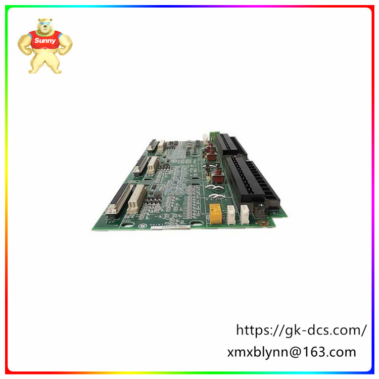 IS200TCASH1ACB | Terminal plate | Necessary connectors and terminals ...