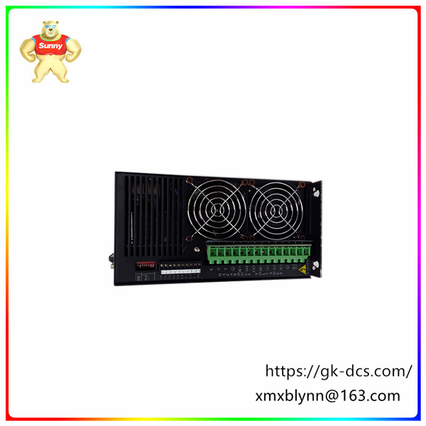 IC800SSI228RD2-CE | Servo motor controller | Regulate the current in the motor windings