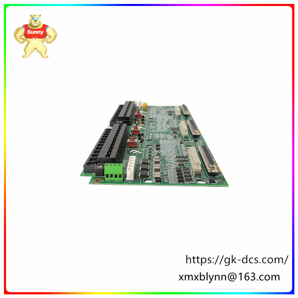 IS200TSVCH1A | Servo terminal board | Provides key interfaces