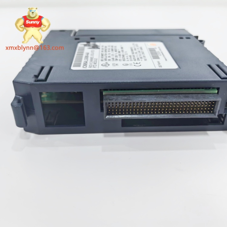 GE IC695ALG312 | Analog Input Modul