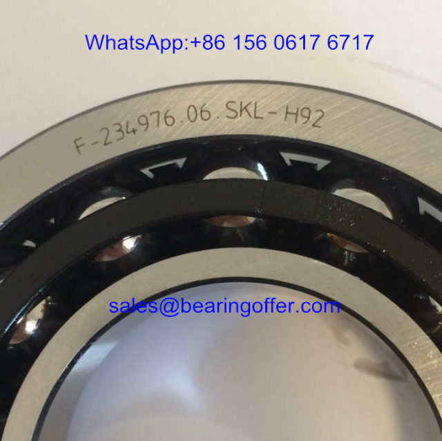 F-234976.06-0021.IR.SKL-H79 Differential Bearing 0735303301 Ball ...