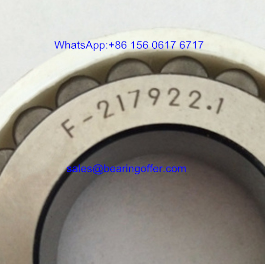F-217922.01 Gearbox Bearing 18x30.52x13 Roller Bearing F-217922.01.RNN ...