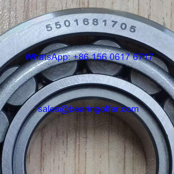 5501681704/5501681705 Automobile Bearing 30x72x21 Roller Bearing ...