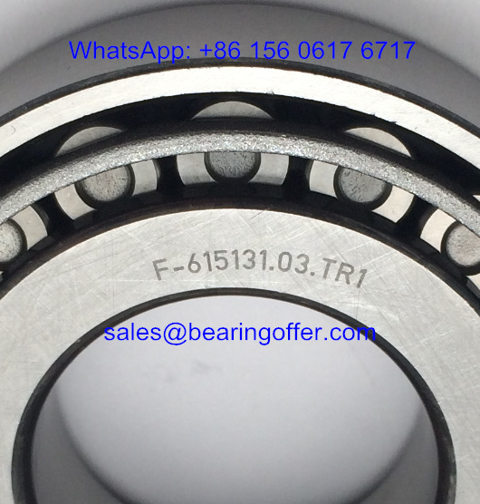 F-615131.03.TR1 Automobile Bearing 30x62x17 Roller Bearing - Stock for Sale