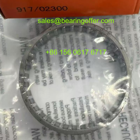917/02300 Needle Roller Bearing 917-02300 Rolling Bearing - Stock for Sale