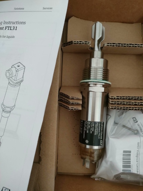 Endress+Hauser Tuning fork switch FTL31-14L2/0