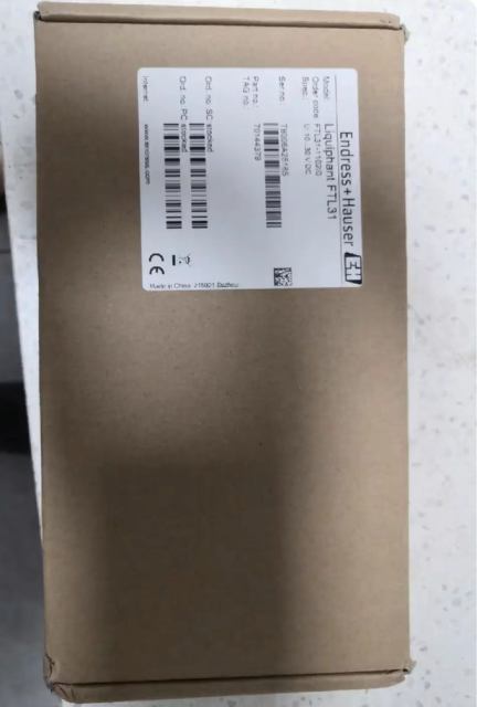 Endress+Hauser Tuning fork switch FTL31-1102/0