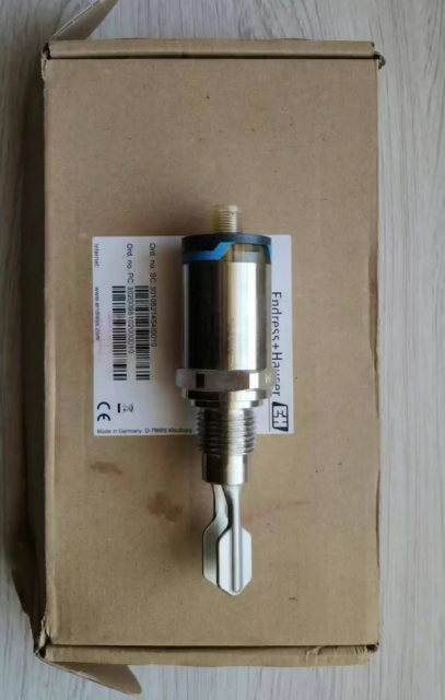 Endress+Hauser Tuning fork switch FTL31-13E0/0