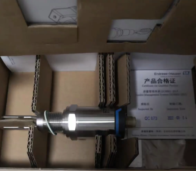 Endress+Hauser Tuning fork switch FTL31-1102/0