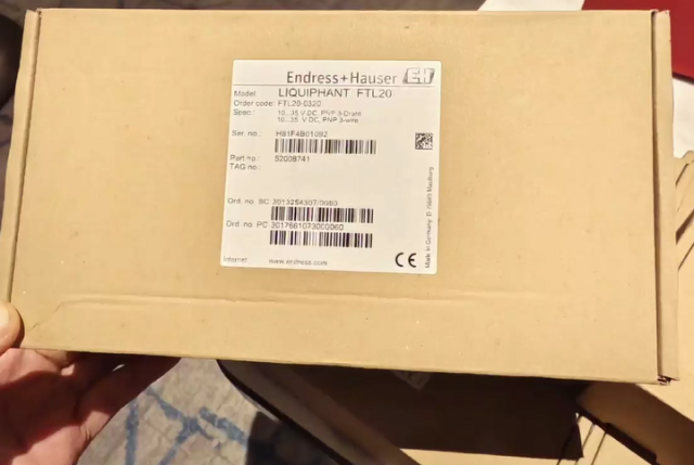 Endress+Hauser Tuning fork switch FTL20-0320