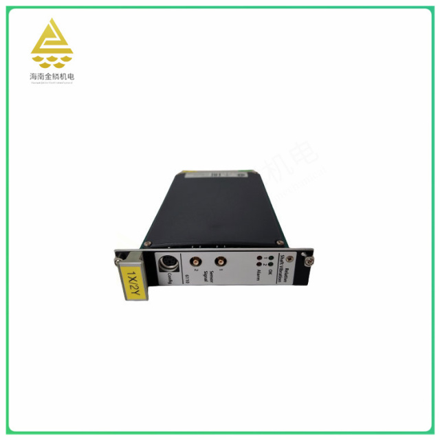 A6110 Dual channel shaft vibration measurement module