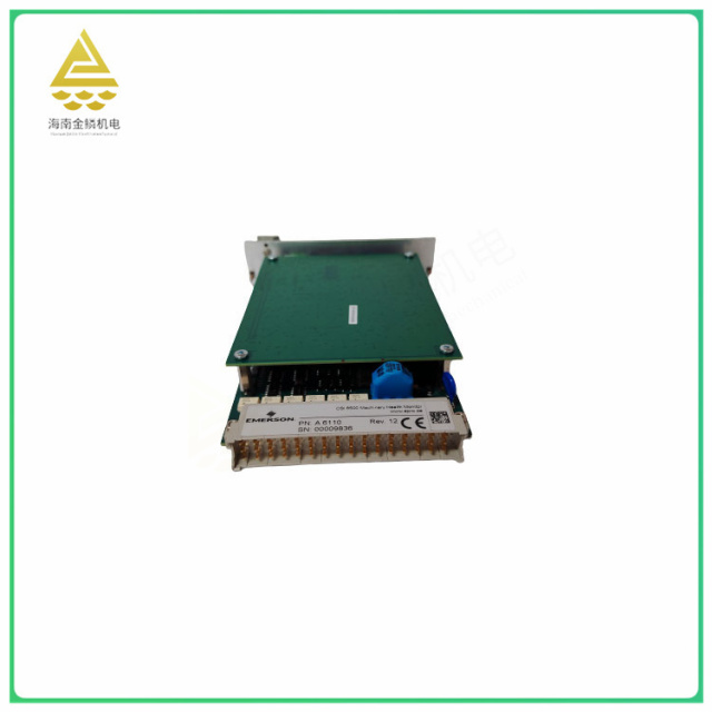 A6110 Dual channel shaft vibration measurement module