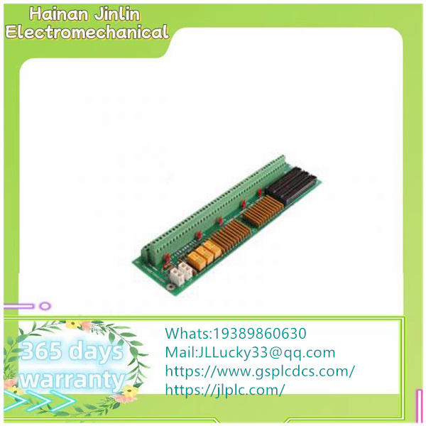 DS200DTBCG1A relay terminal board has 2 terminals