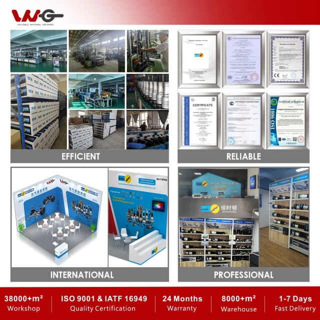 Rear Air Suspension Spring for Porsche Macan 95B oe 95B616001A