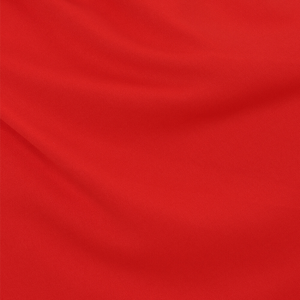 Delicious in Dungeon