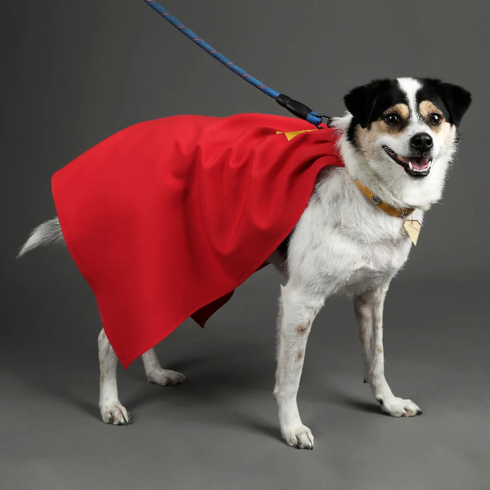 Krypto the Superdog Cosplay Costume Comic Superhero Dog Pet Puppy ...