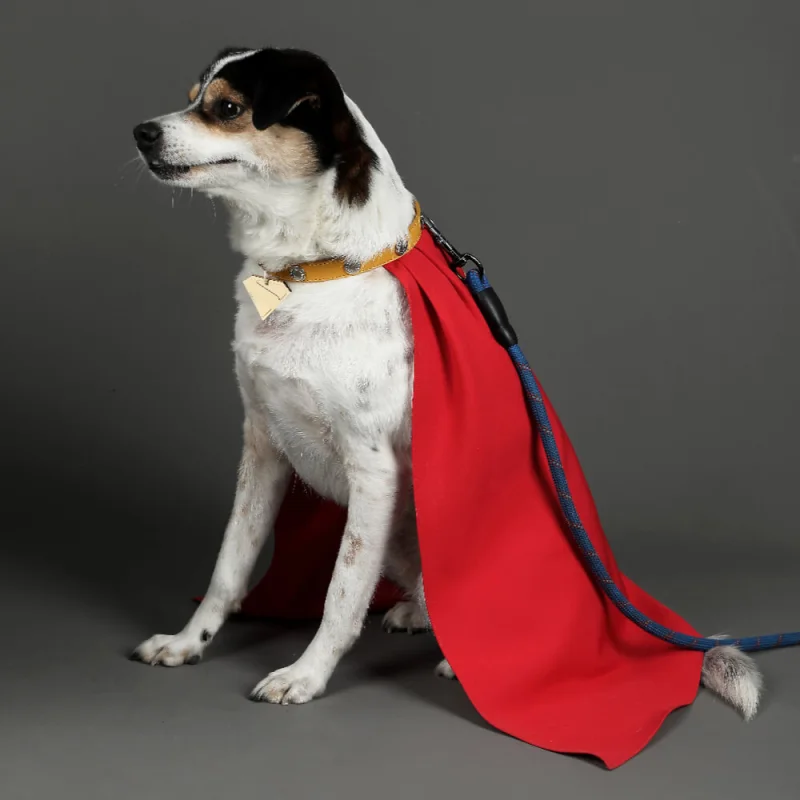 Krypto the Superdog Cosplay Costume Comic Superhero Dog Pet Puppy ...