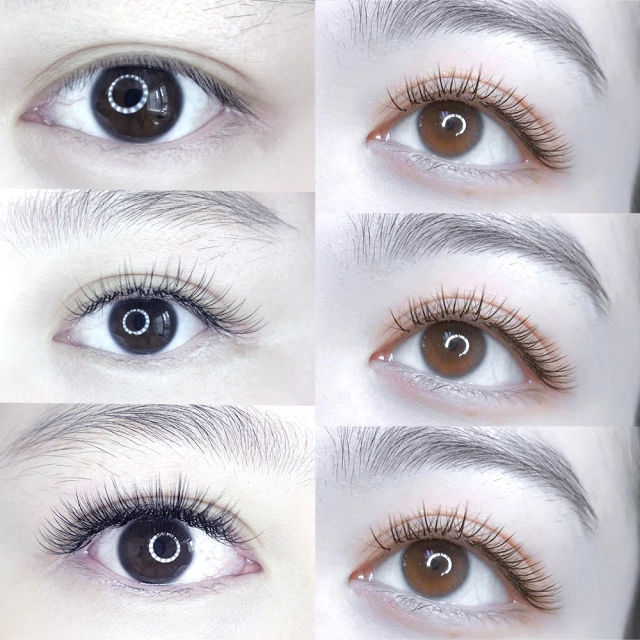 NAGARAKU 3D/4D/5D/6D W Shape Eyelash Extension Super Soft Natural Dense ...