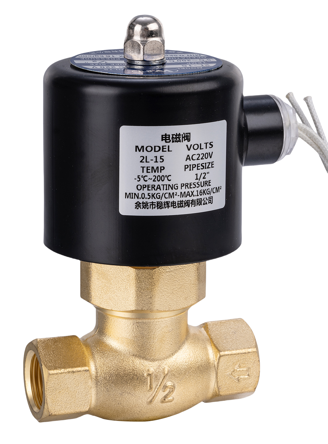 Wenhui . Solenoid Valve | 2L Series | Piston type high-temperature steam solenoid valve