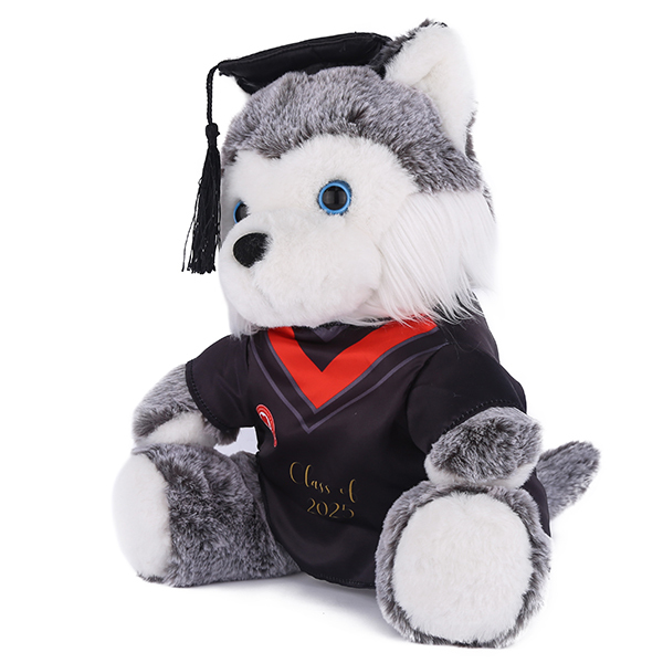KingKong Toys Custom 12'' Plush Husky With Graduation Cap