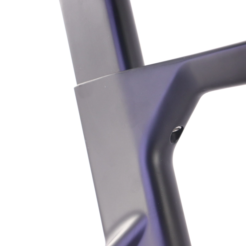 2019 one piece mould monocoque frame disc version