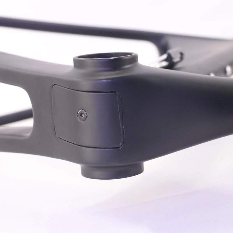 2019 one piece mould monocoque frame disc version
