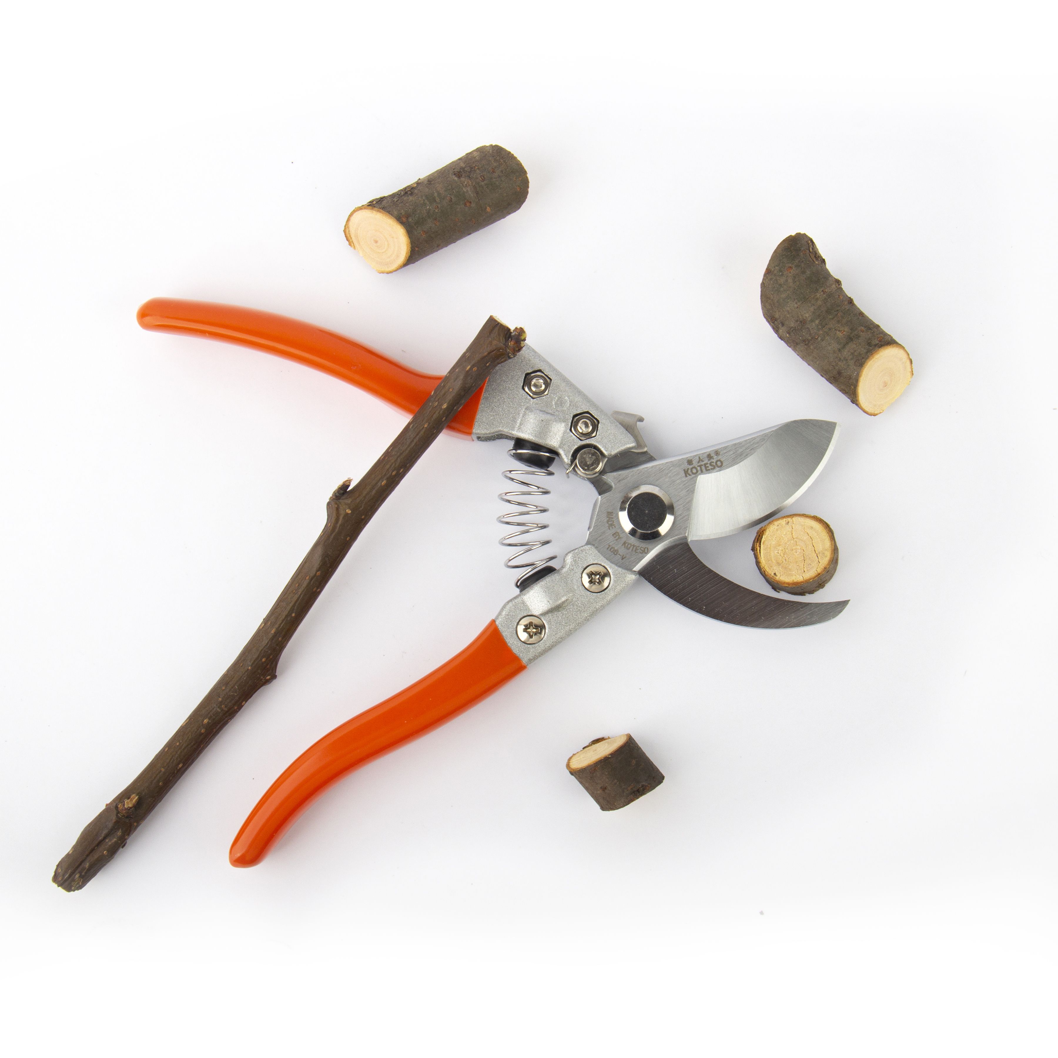 Bypass Tree Pruner SK5 Pruning Shear