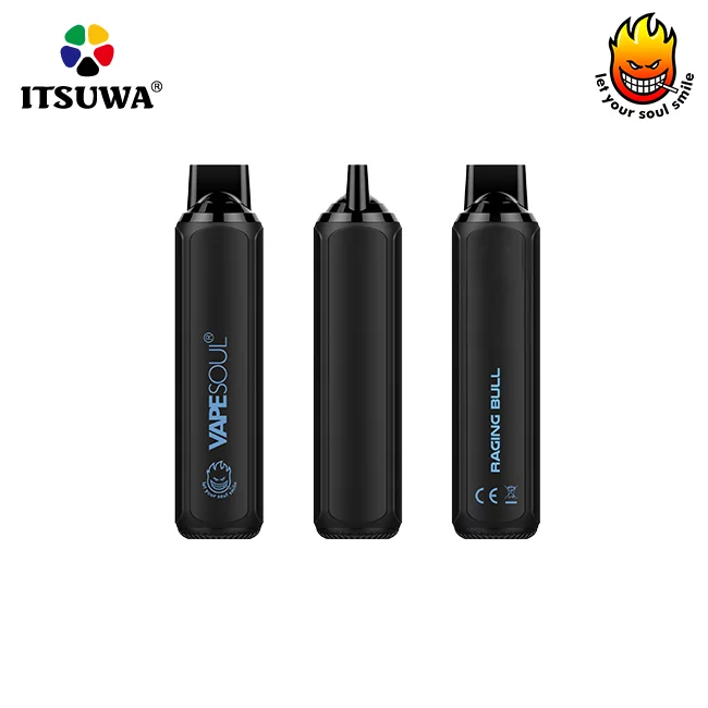 OEM 2024 Pod Vabeen 10000 Puffs Vapesoul mortar Puff Bar Wholsale Vpae ...