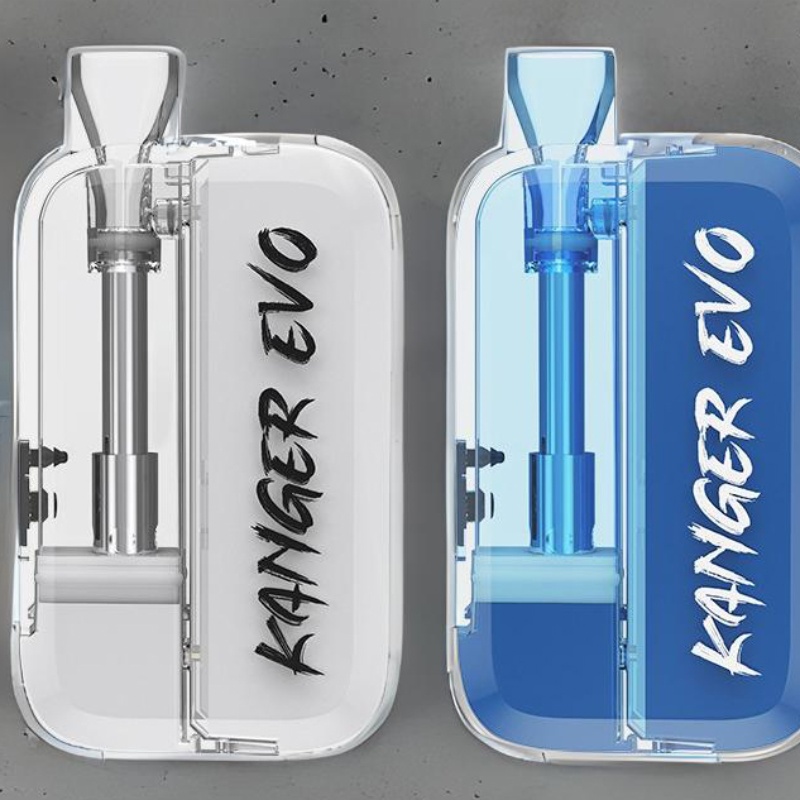 WholeSale 2024 Pod disposable vape 10000 Puffs Kanger evo pod Fruit ...