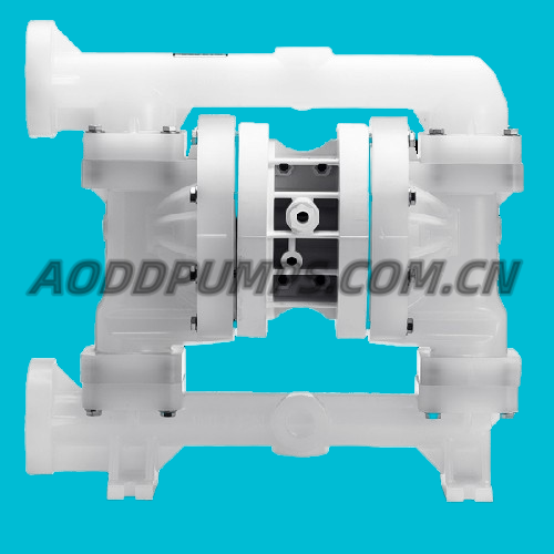 P200/PKPPP/TNU/TF/PTV 1" Bolted Non-Metallic Diaphragm Pump Fit WILDEN,PRO-FLO