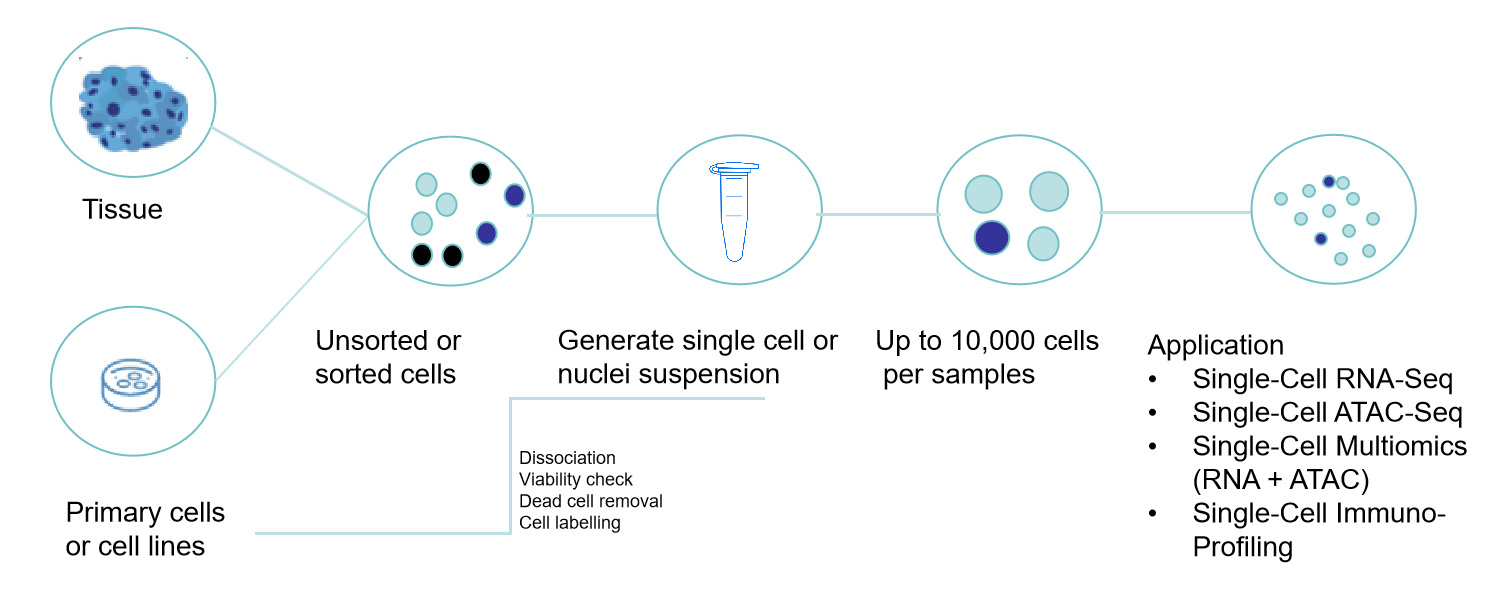 Singel-cell Sequencing