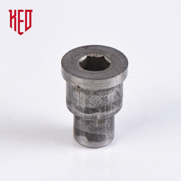 Non-Standard Stainless Steel Cold Forging Parts