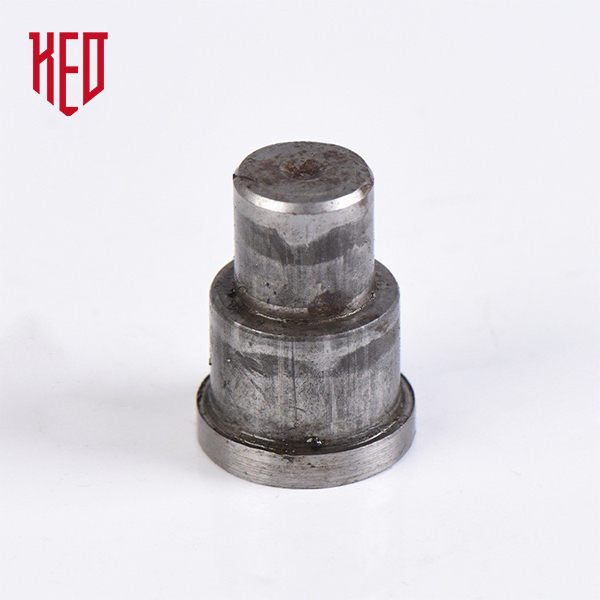 Non-Standard Stainless Steel Cold Forging Parts