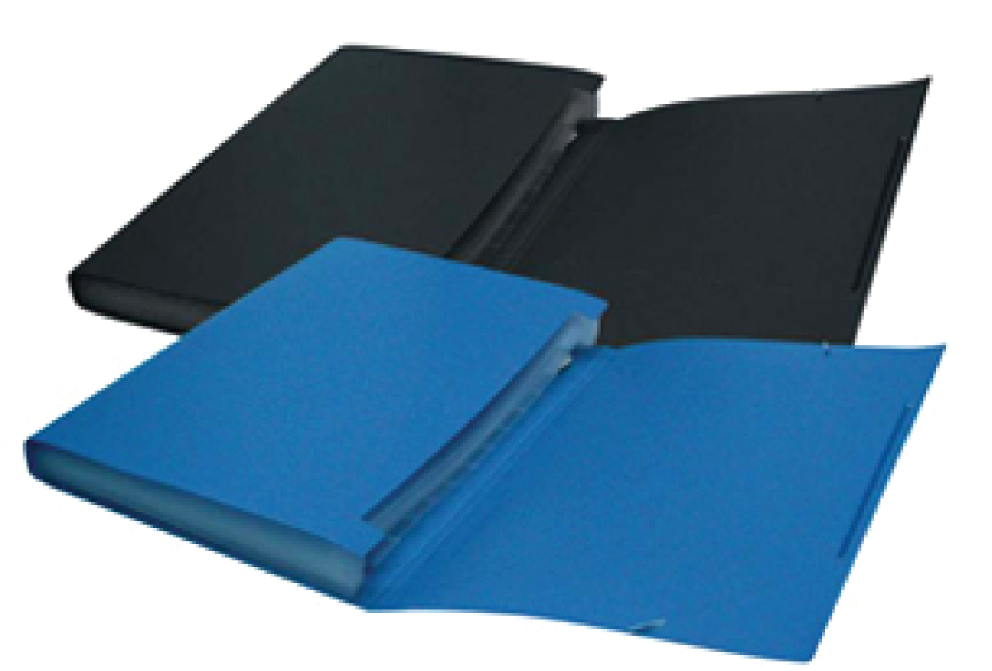 Plastic Expanding Wallet 風琴式文件袋