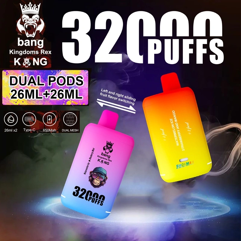 Bang Kingdoms Rex 32000 Puffs Double Flavors Wholesale E Cigarettes ...
