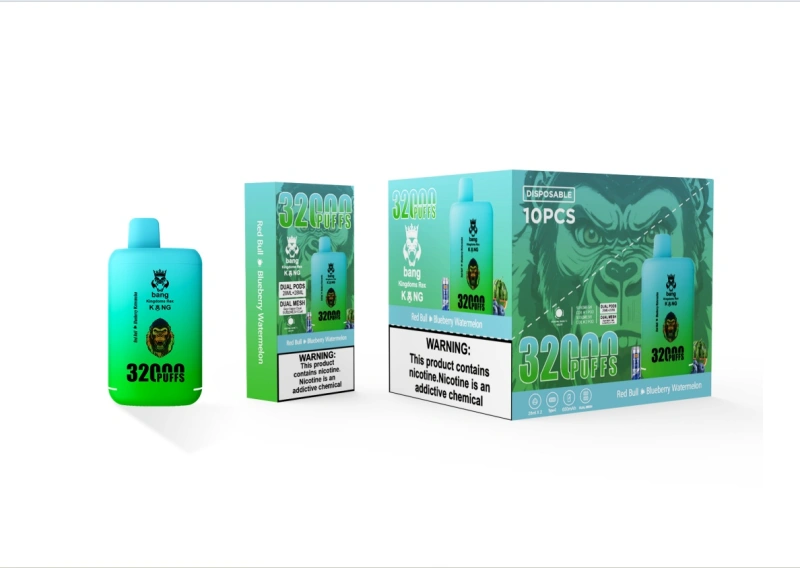 Bang Kingdoms Rex 32000 Puffs Double Flavors Wholesale E Cigarettes ...