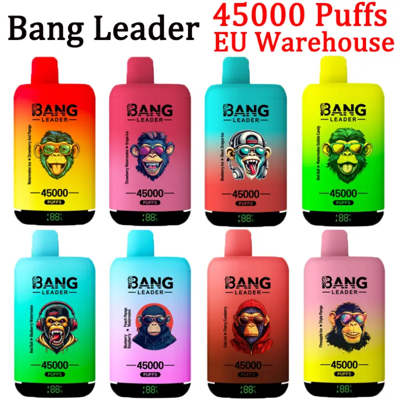 Bang Leader 45000 45K Puffs Dual Flavors Original Brand Rechargeable ...