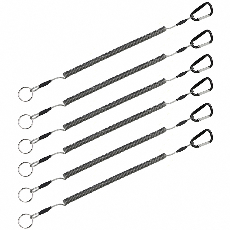 Spring Coil Keychain with Carabiner