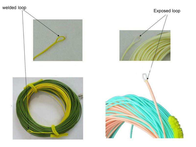Weight forward fly line two different loops options