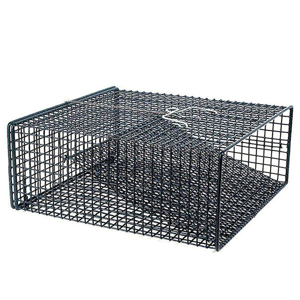 Crawfish Trap