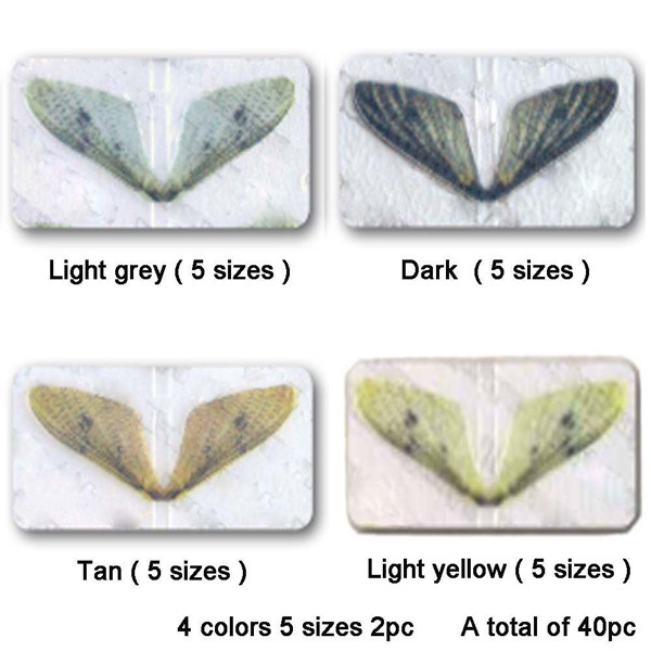 Riverruns Realistic Flies 40pcs/Bag May Dry Flies Trout Fly Wings 4 ...