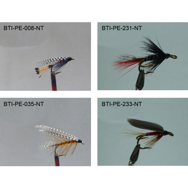 Wet flies 2021(17)