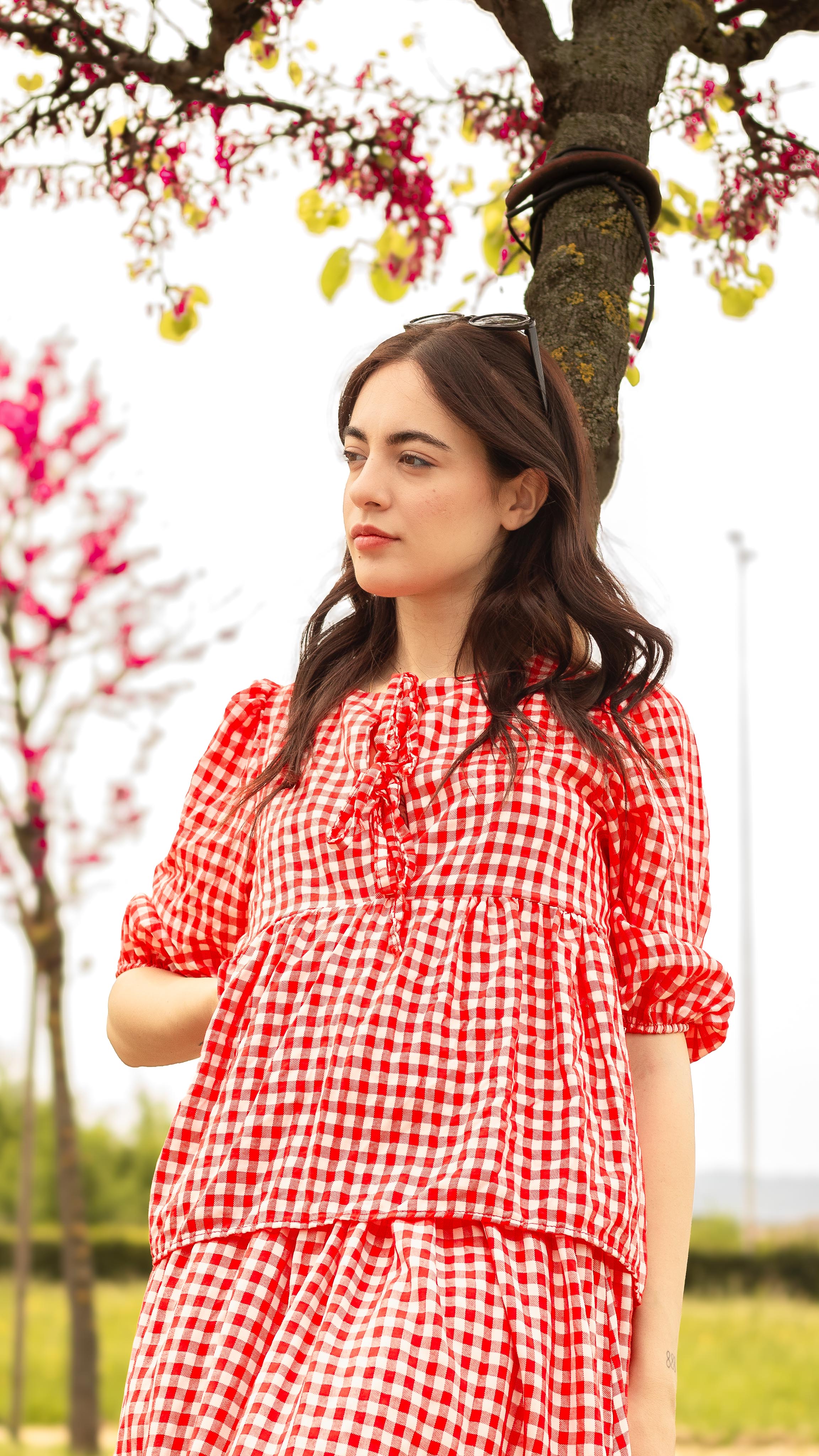 Checkered Ribbon Tie Blouse