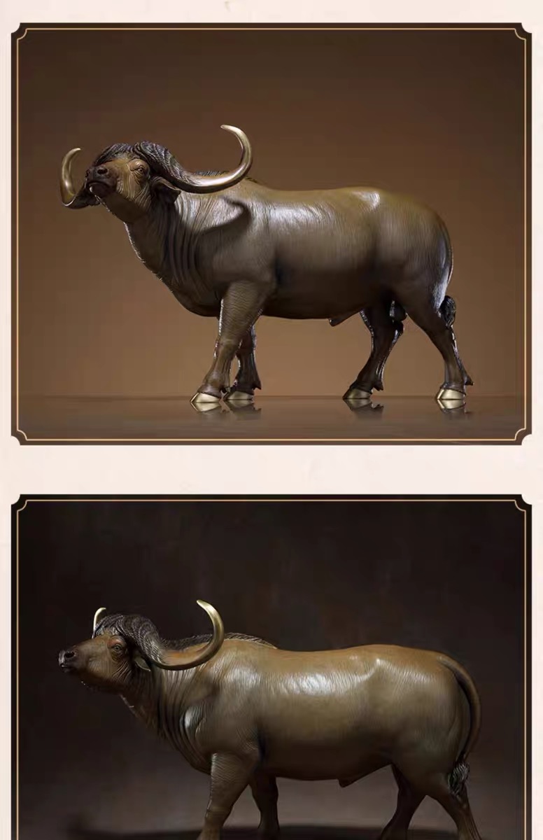 AFRICAN WATER BUFFALO