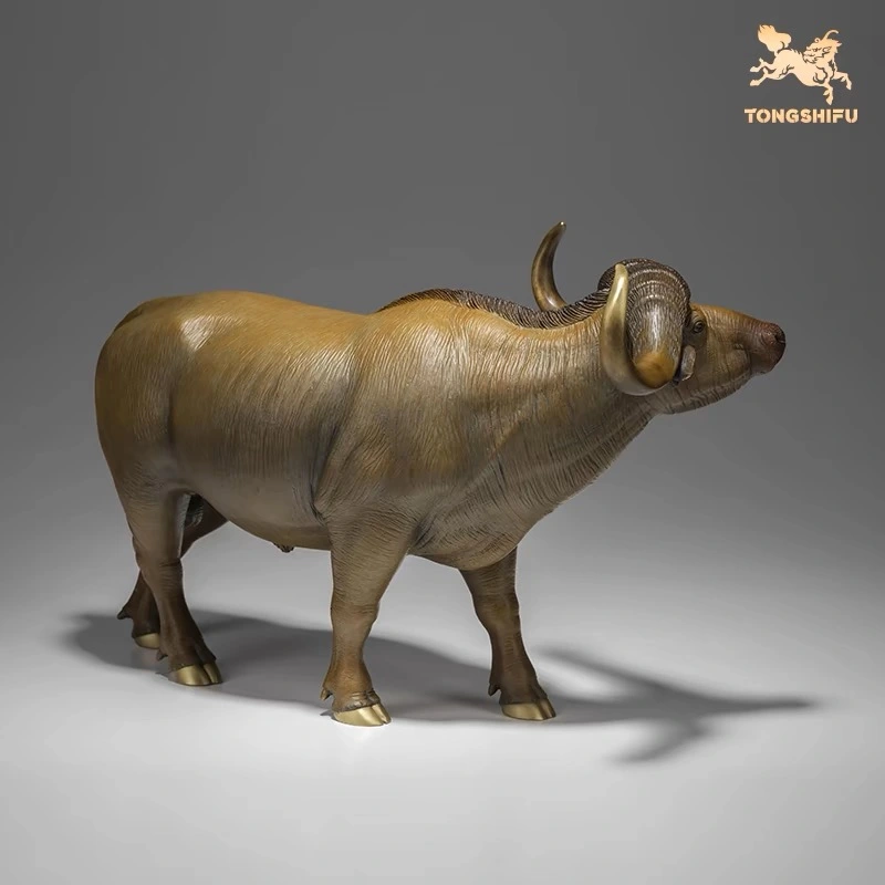 AFRICAN WATER BUFFALO