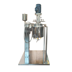 10L SS 304 lab reactor with lifting flipping device ex proof