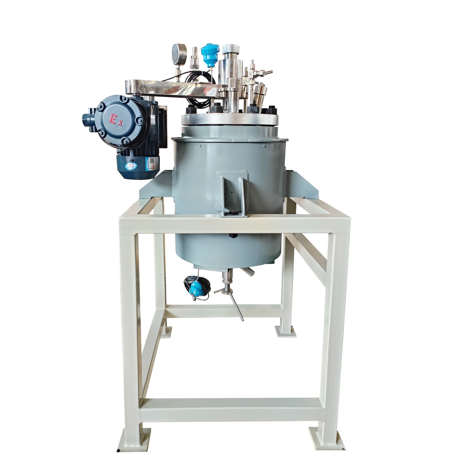 29L explosion proof high pressure lab reactor