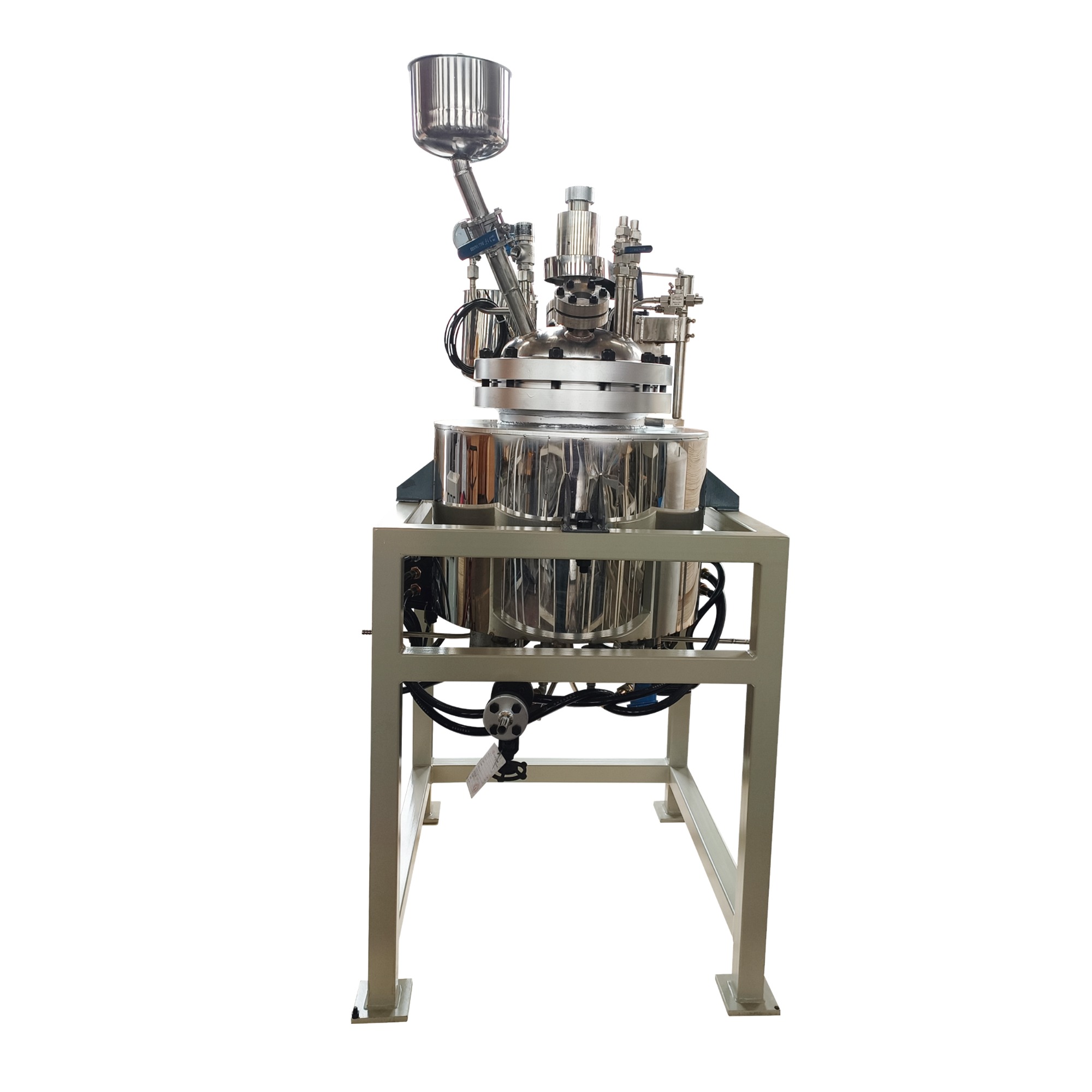 50L pilot reactor with thermal oil batch